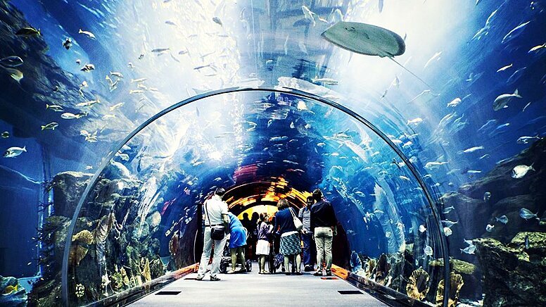 Dubai'de Gezilecek Yerler | TatilEksper