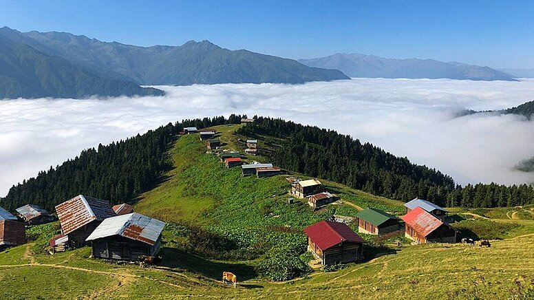 Karadeniz’in Meşhur Yaylaları | TatilEksper